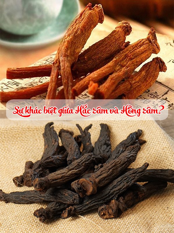 Sự khác biệt giữa Hắc sâm và Hồng Sâm có gì khác?